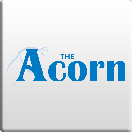 Sponsor: The Acorn - Eagles Baseball - Oak Park High School